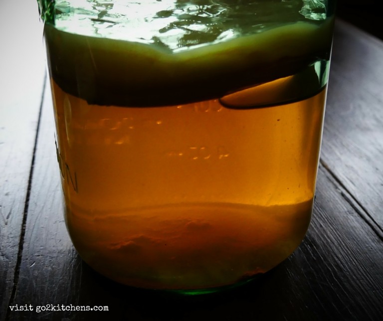 Basic Kombucha Recipe - go2kitchens